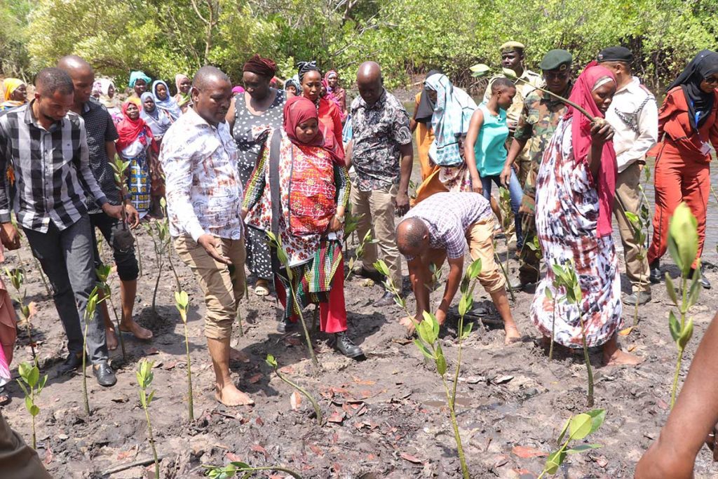 County Government of Kwale – Welcome to the Official Kwale County Website